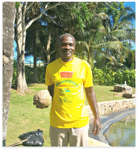 About us – Walkers Wood – Caribbean Foods